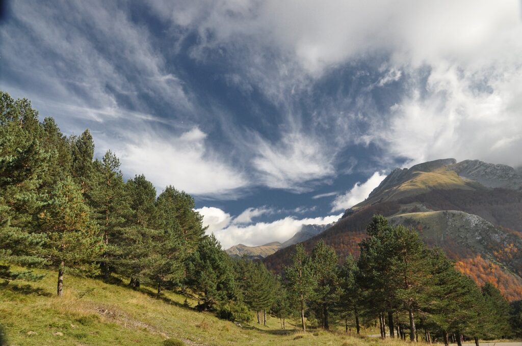 Find out all the Essential things about the Spanish Pyrenees