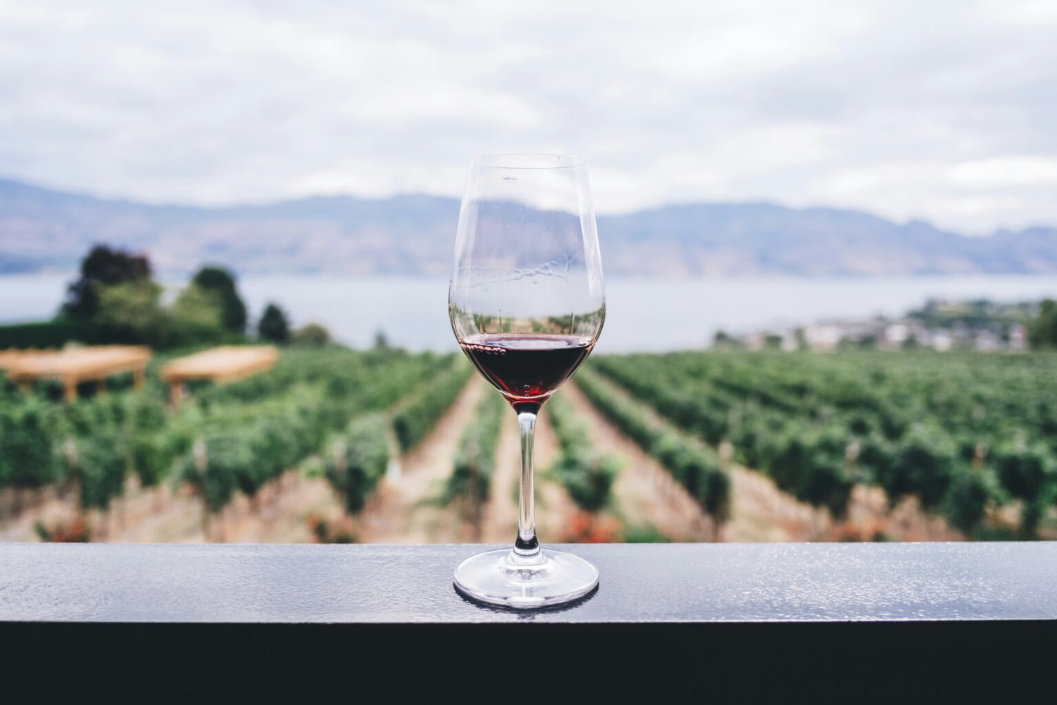 The Complete Guide To Spanish Wine